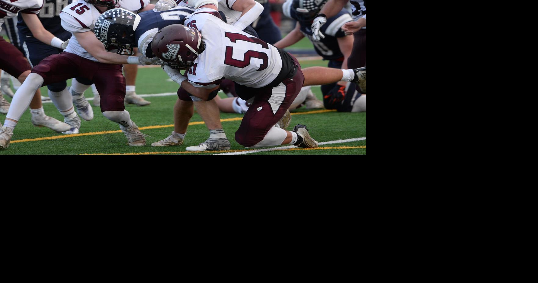 Iona calls on Owls' Shivell for lax, but for now he's all football ...