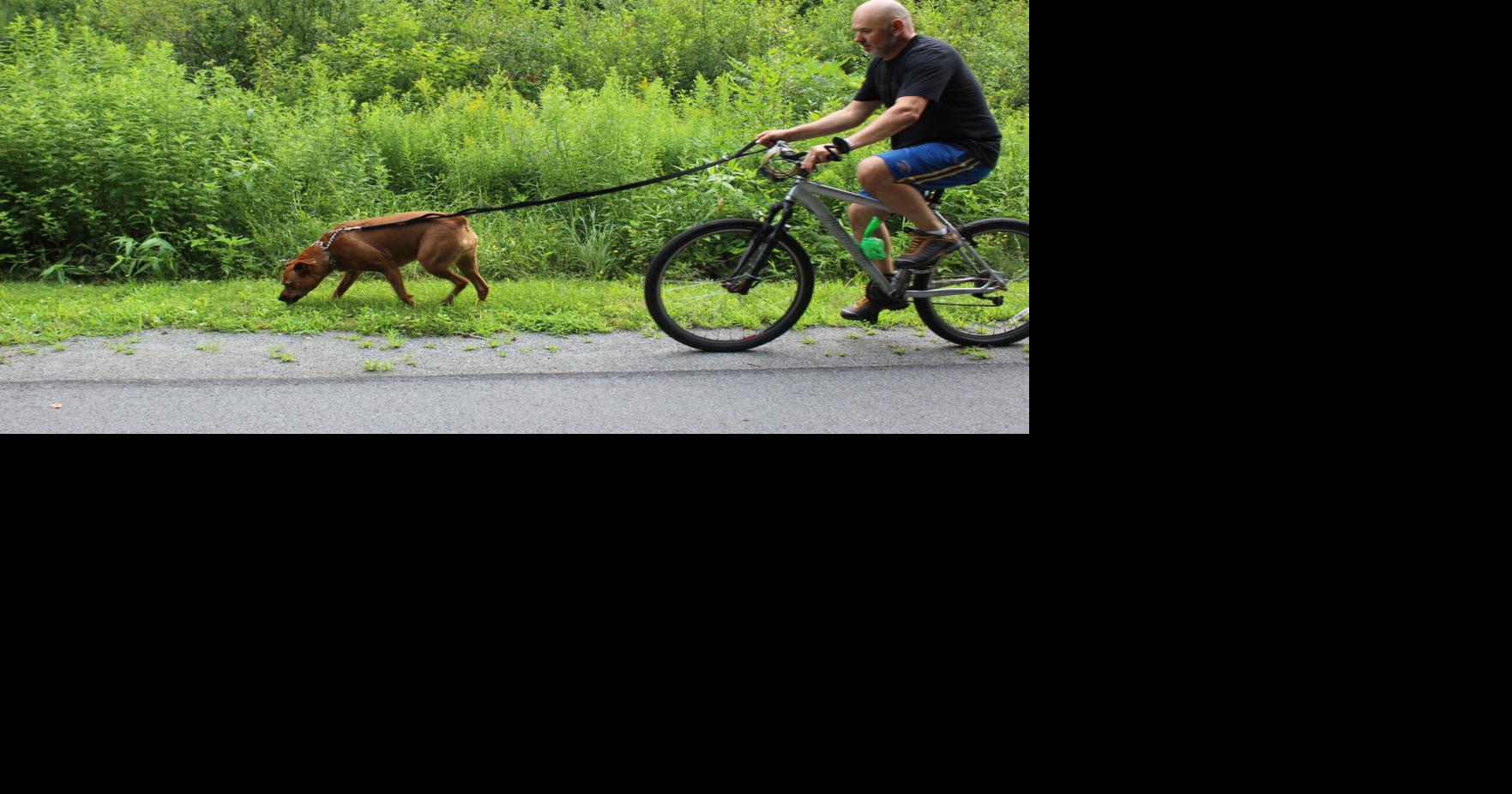 Methuen Rail Trail faces the weather | News | eagletribune.com