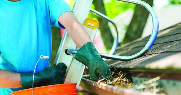 The benefits of a professional gutter cleaning | Special Sections ...