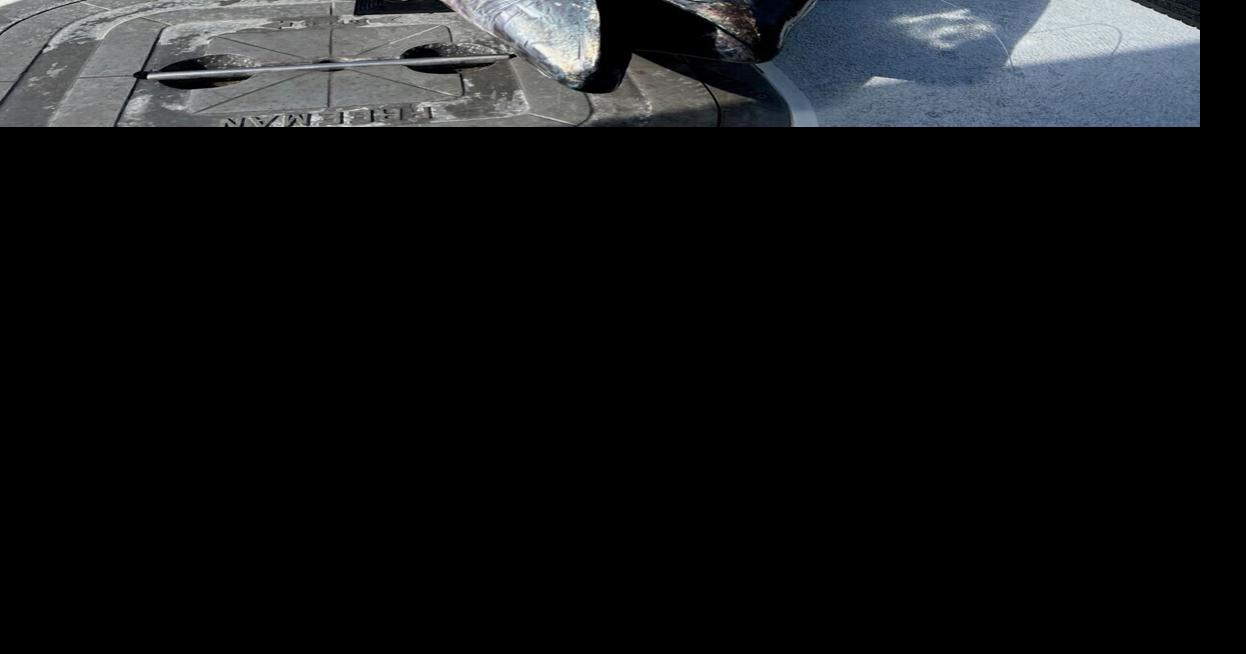 Big fish tale: Couple catches 600-pound Tuna | Merrimack Valley ...
