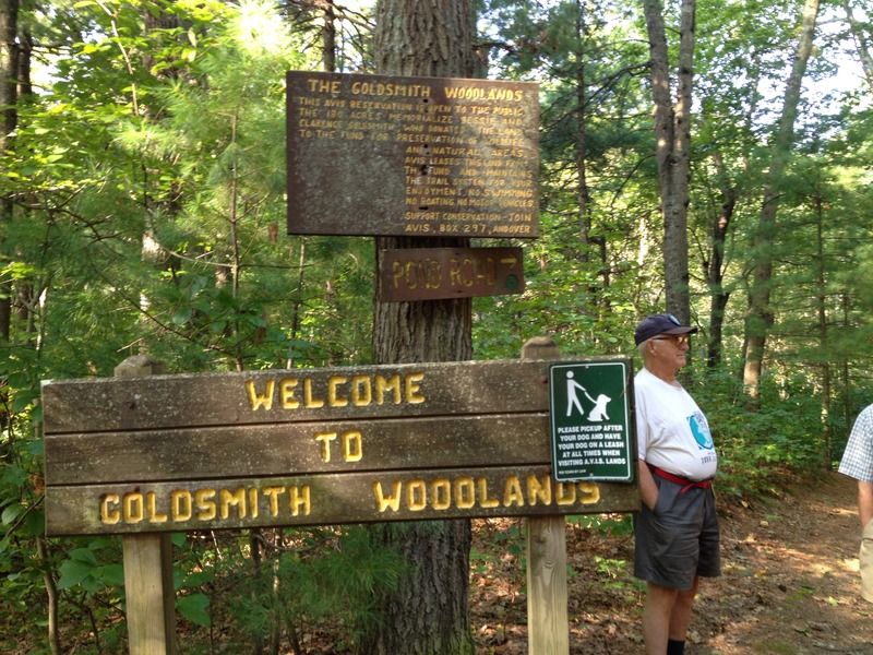 Goldsmith Reservation makes for an idyllic Andover walk | Local News ...