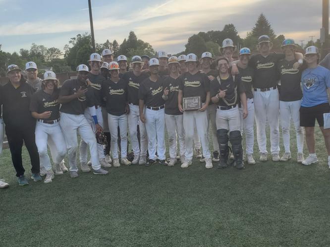 Terilli's no-hitter lifts Hillies to tournament title | Sports ...