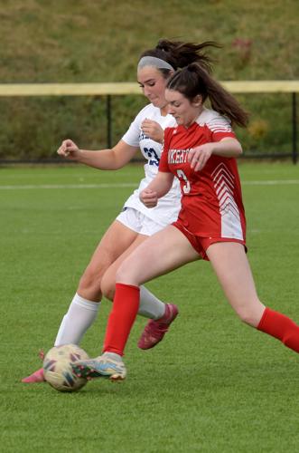 Pinkerton girls soccer kicks off 'revenge tour' by besting Salem in DI ...