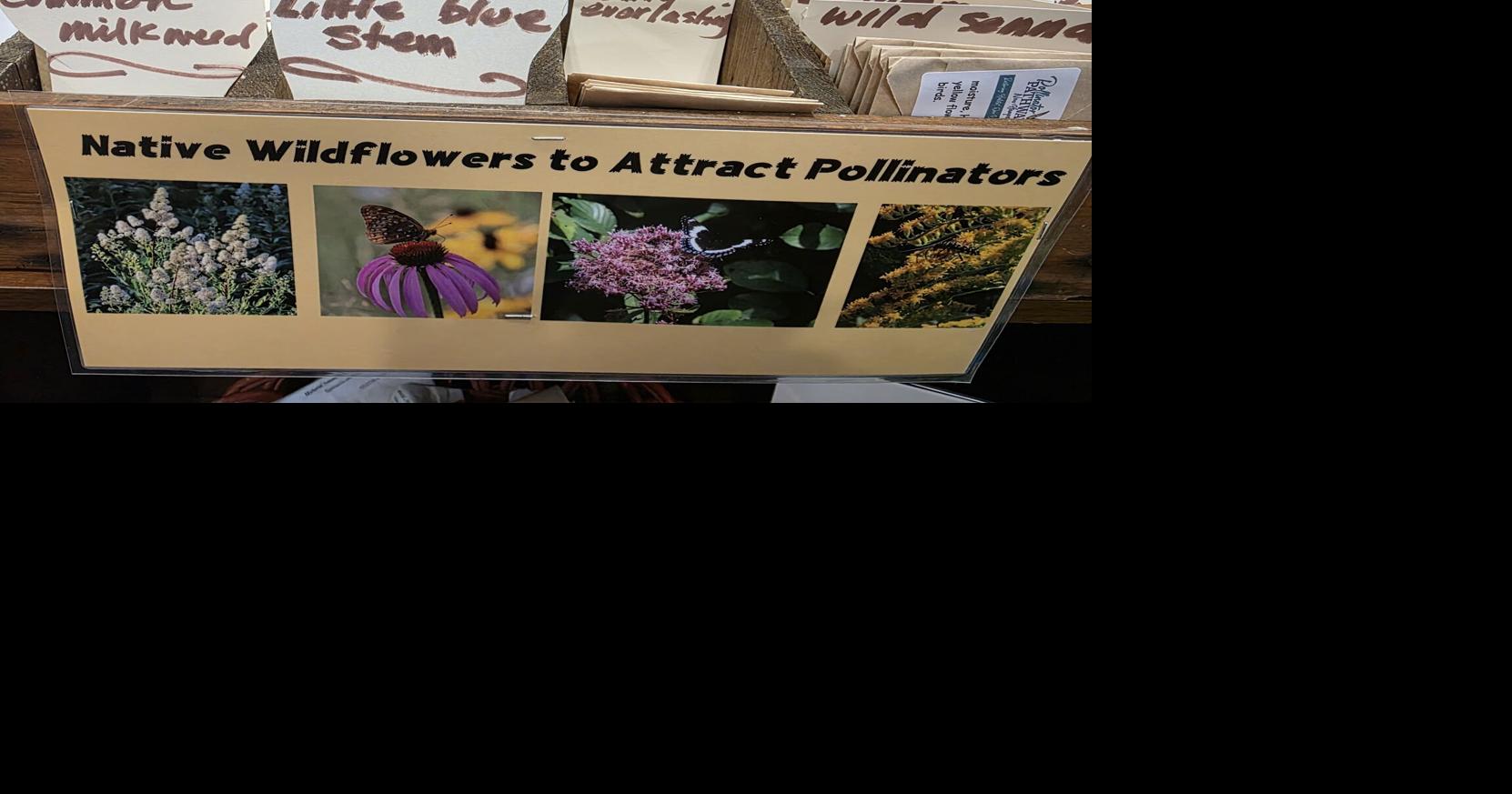 Get native plant seeds free at Kingston Library | Minutes | eagletribune.com