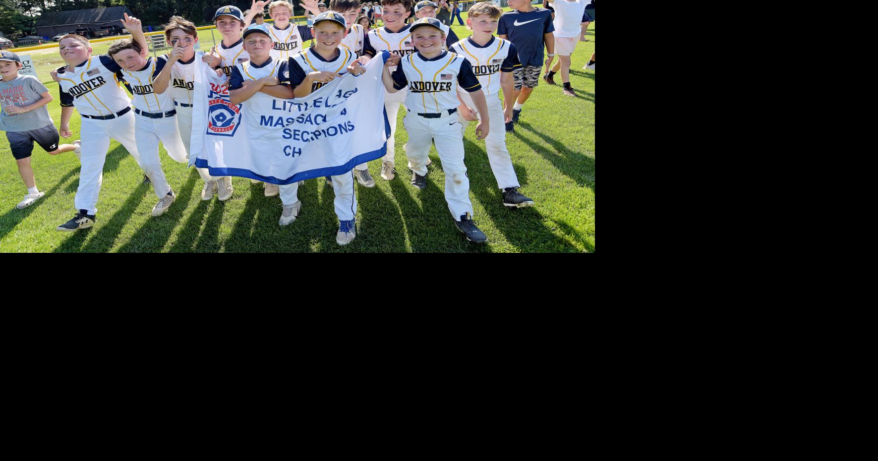 Andover gets walkoff win! Advances to state tournament | News ...