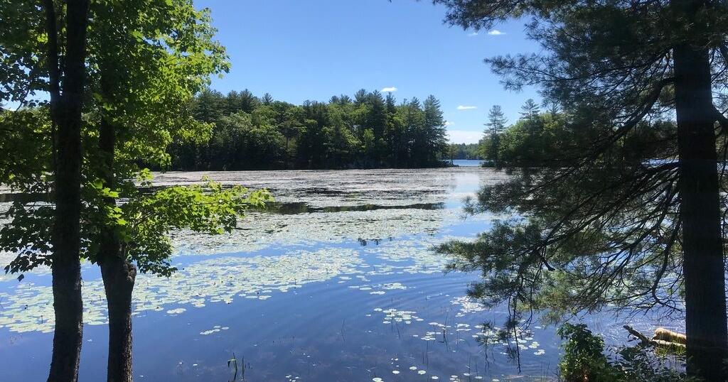 Greenbelt preserves 72 acres in the Crystal Lake area from development ...
