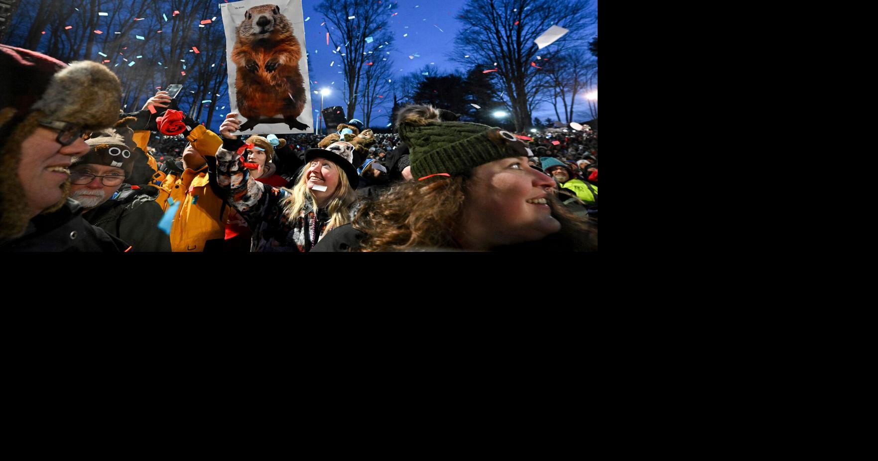 Punxsutawney Phil prepares to issue his Groundhog Day weather verdict ...