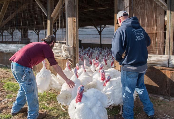 Area businesses make it easy to gobble up a locally sourced ...