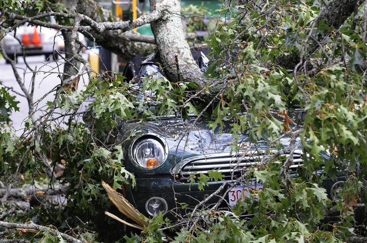 Driver unharmed after tree lands on car | News | eagletribune.com