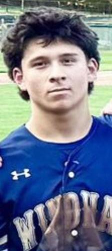 Baseball Frenzy: News and nuggets from our local teams | Sports ...