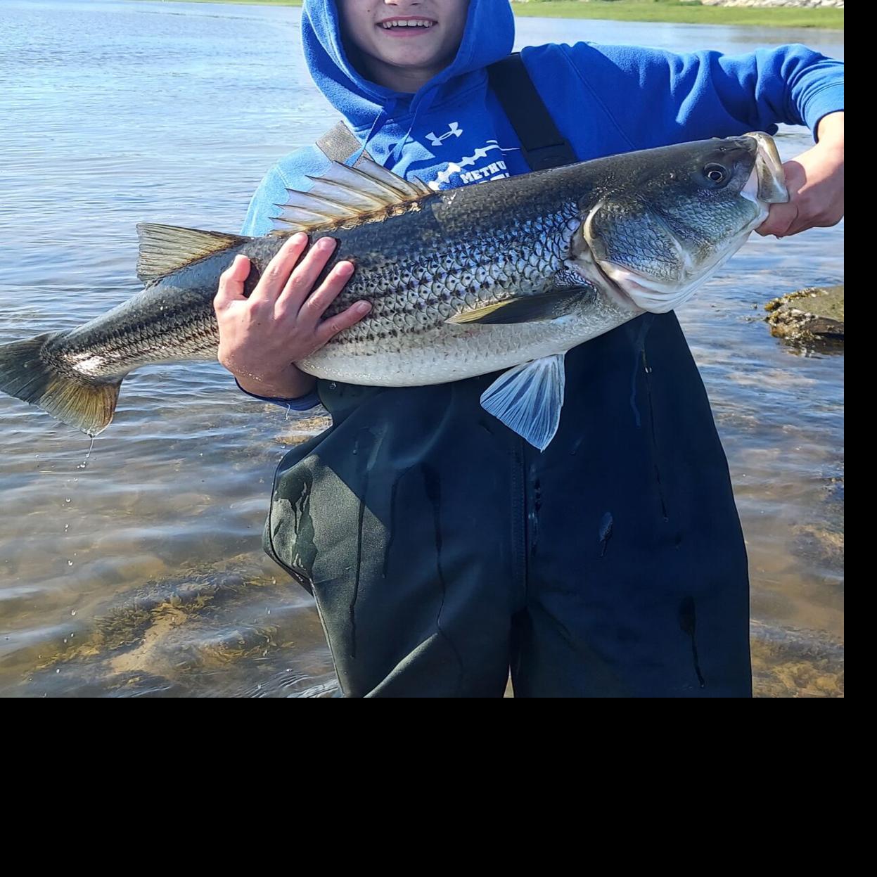 Haverhill's welcome sign and new book honor macabre master Rob Zombie ...