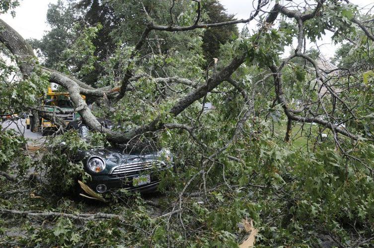 Driver unharmed after tree lands on car | News | eagletribune.com