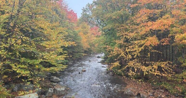 Fall foliage nearing peak in White Mountains | New Hampshire | eagletribune.com