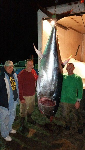 Bucket List: A man gets (800-pound) tuna | Sports | eagletribune.com