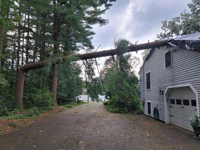Andover woman recounts ordeal of house being hit by a tree: 'Almost ...