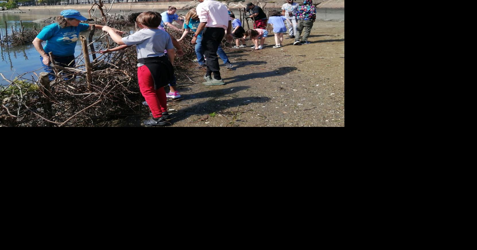 Students build age-old Indigenous fishing weirs at Cat Cove | North Of ...