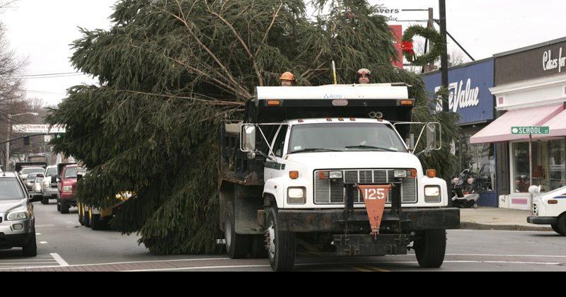 A 'perfect Christmas tree' for Danvers Square | | eagletribune.com