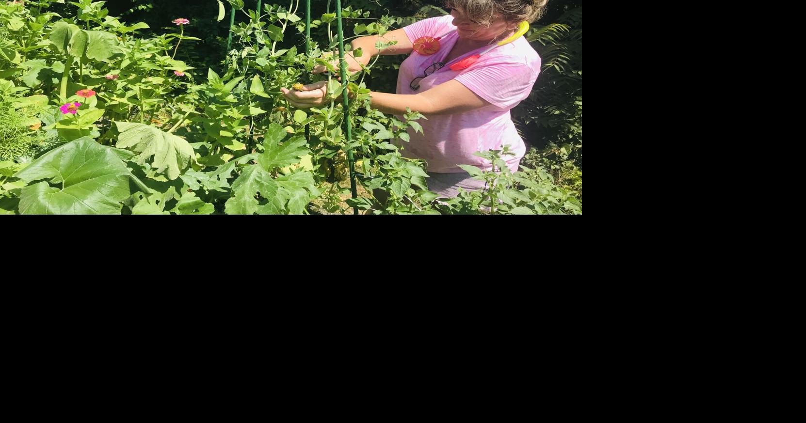 Broadview Farm garden offers more than growing vegetables | News ...