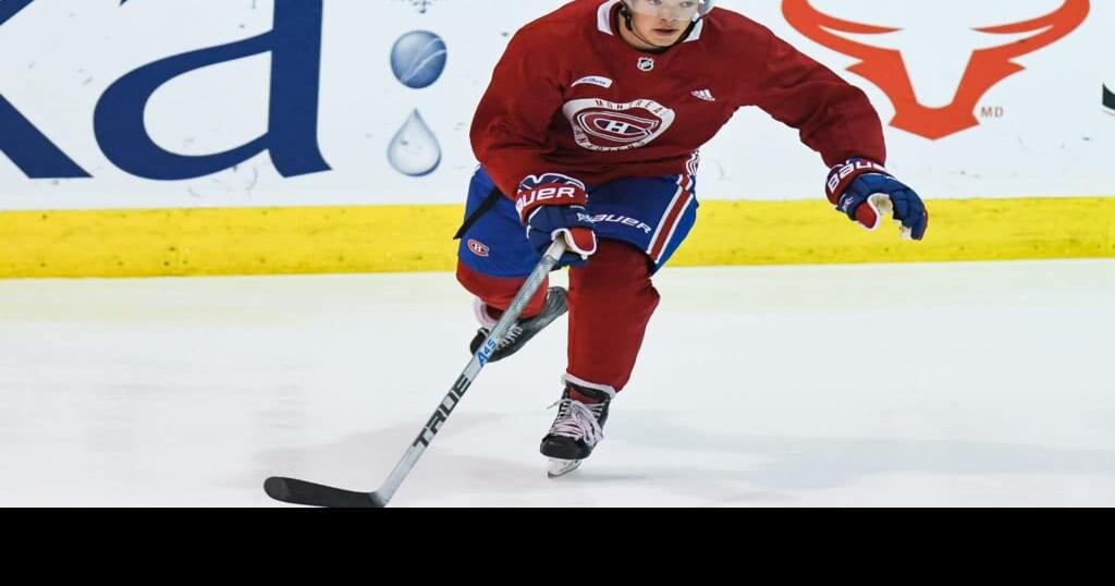 NHL prospect Jordan Harris of Haverhill reflects on challenges African ...