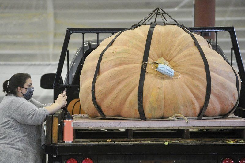 Giant pumpkin contest carries on despite Topsfield Fair's cancellation ...