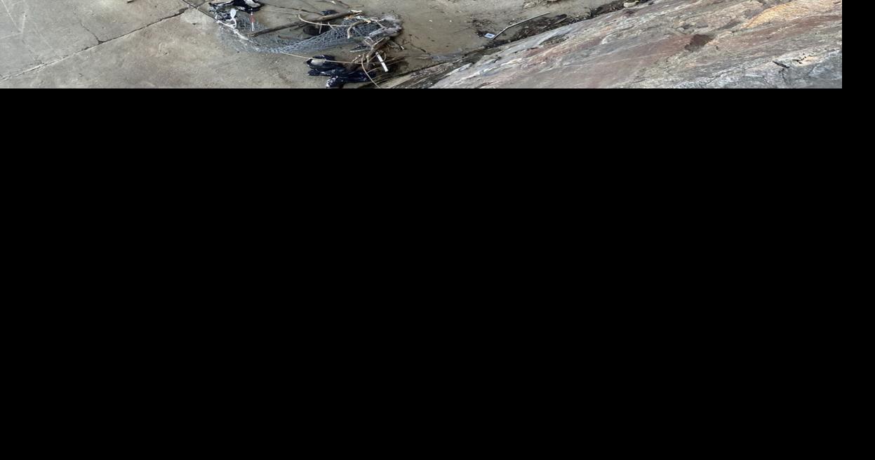 Rope Rescue: Firefighters rescue injured man under Lawrence bridge ...