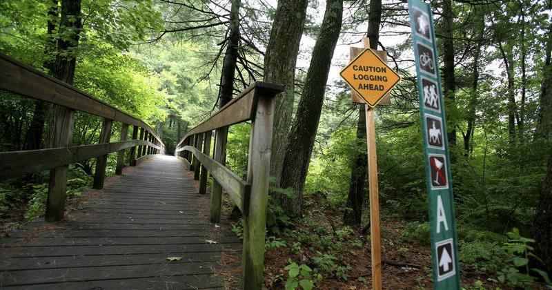 Salem Town Forest gains 32 acres | News | eagletribune.com