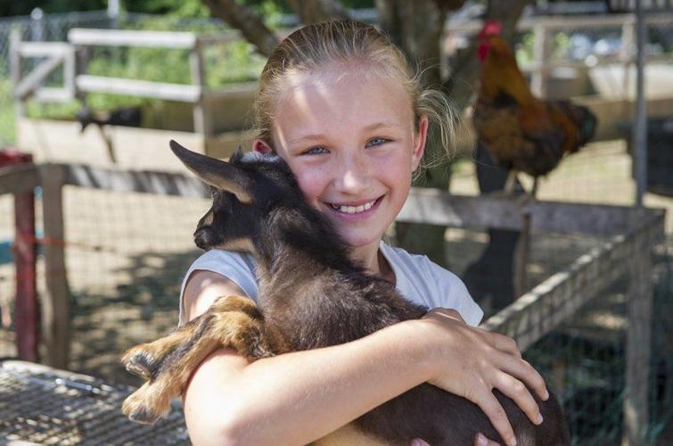 Farm friendly: Carriage Shack Farm offers education as well as ...