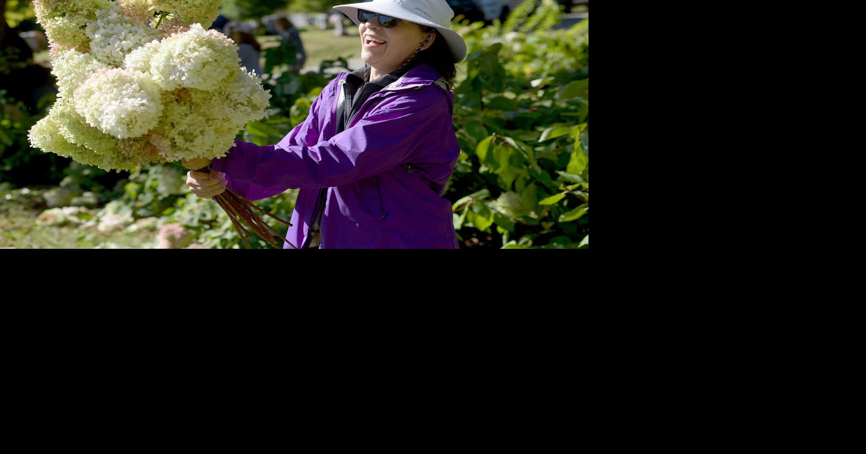 West Parish Church shares fall flowers with public on Hydrangea Day ...