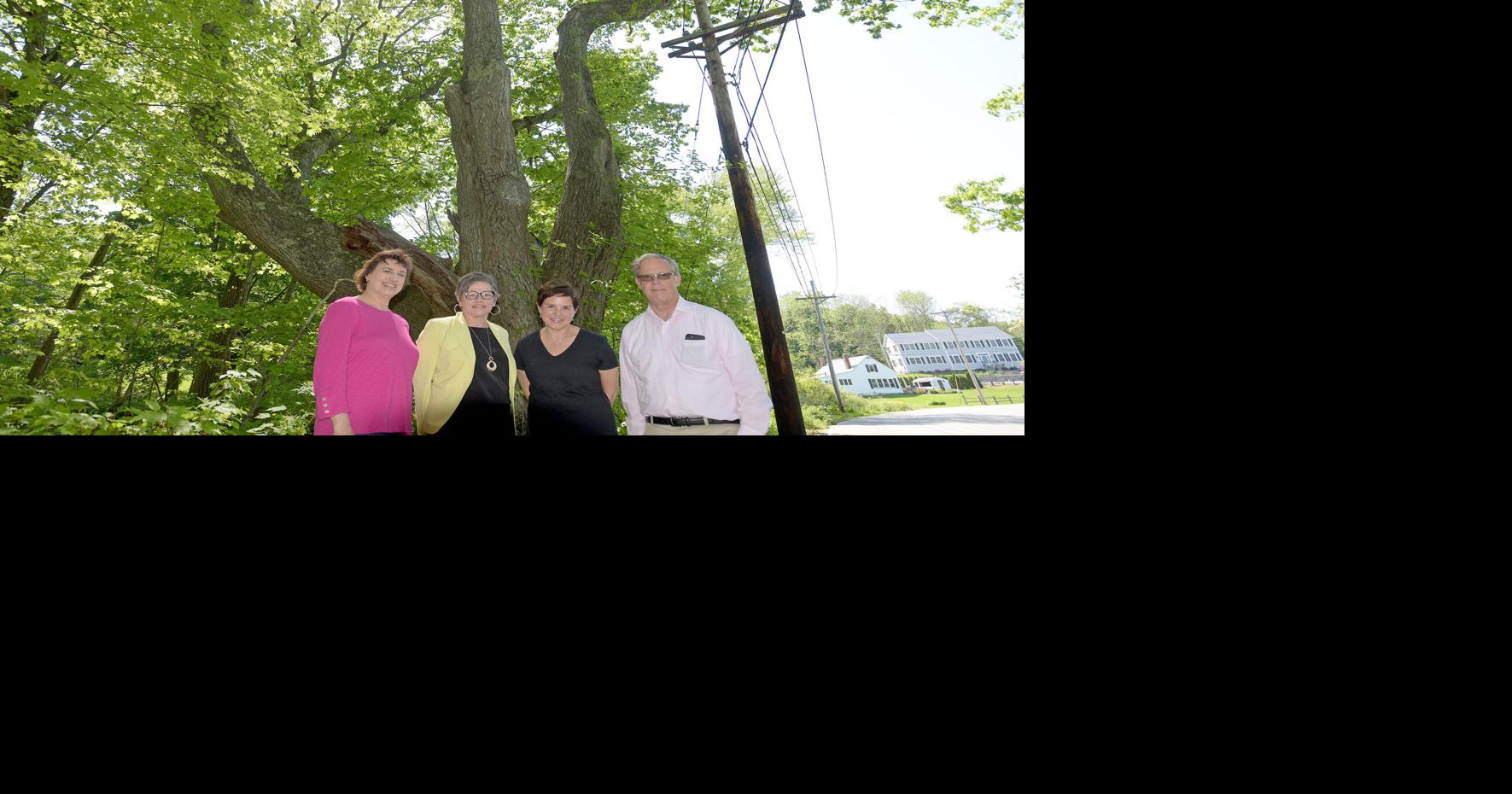 Residents oppose plan to chop down historic red oak | Merrimack Valley ...