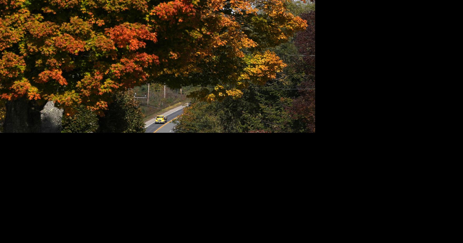 Leaf peepers flock to witness region's brilliant display | New ...