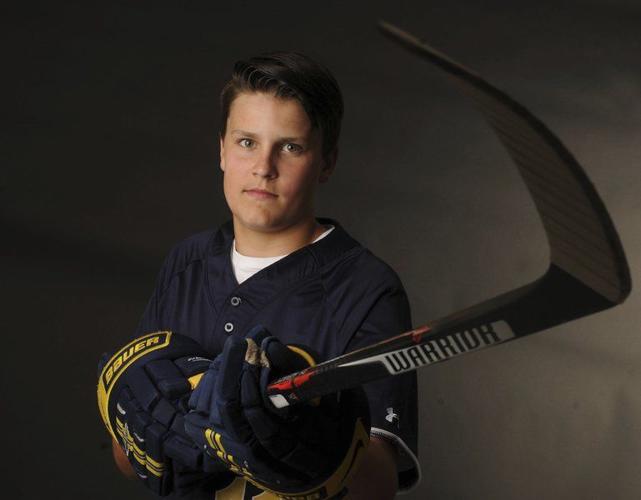 COMING ATTRACTIONS 2017: Worth Price of Admission | Local Sports ...