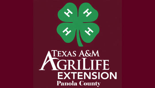AgriLife Extension Launches “Game & Gather” Weekly Social Series at ...