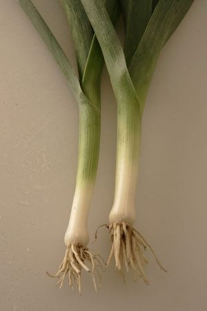 Leek's V-shaped leaves have a tale to tell | At Home ...