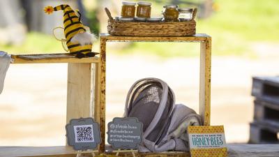 Mesa partnership abuzz about bees | | eastvalleytribune.com