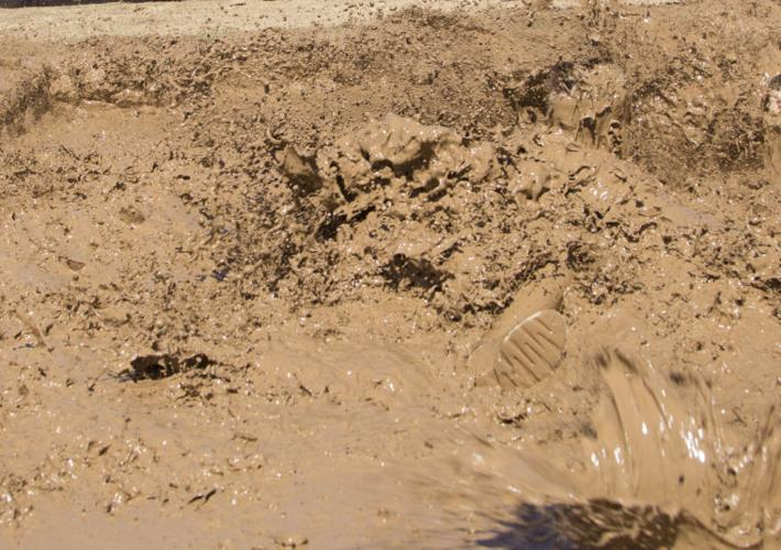 Photos: Mighty Mud Mania 6/8/2013 | Photos & Video | eastvalleytribune.com