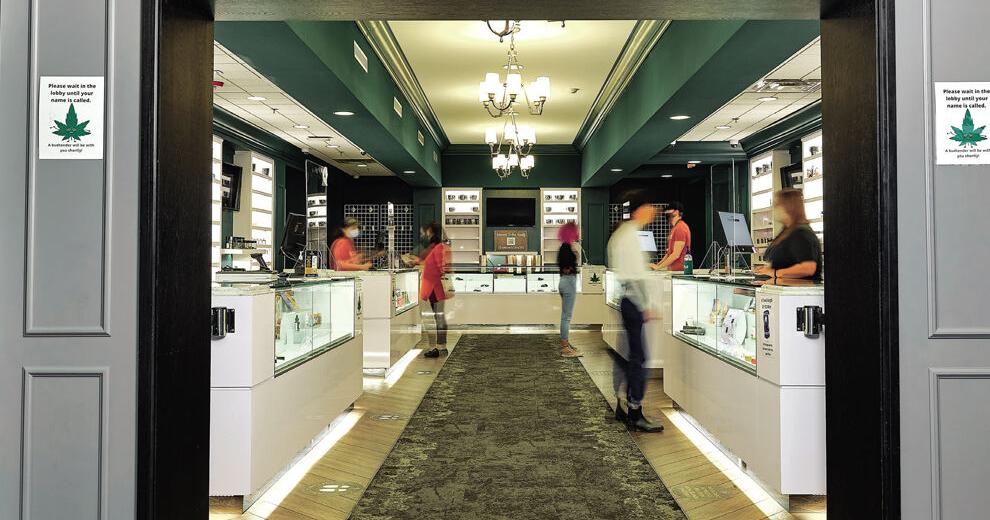 Living Life with ‘Soul’ Sol Flower wants to improve everyone’s quality ...