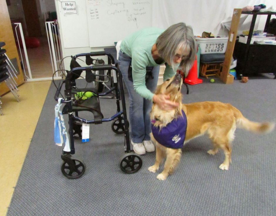 Valley non-profit trains dogs to help people live independently ...