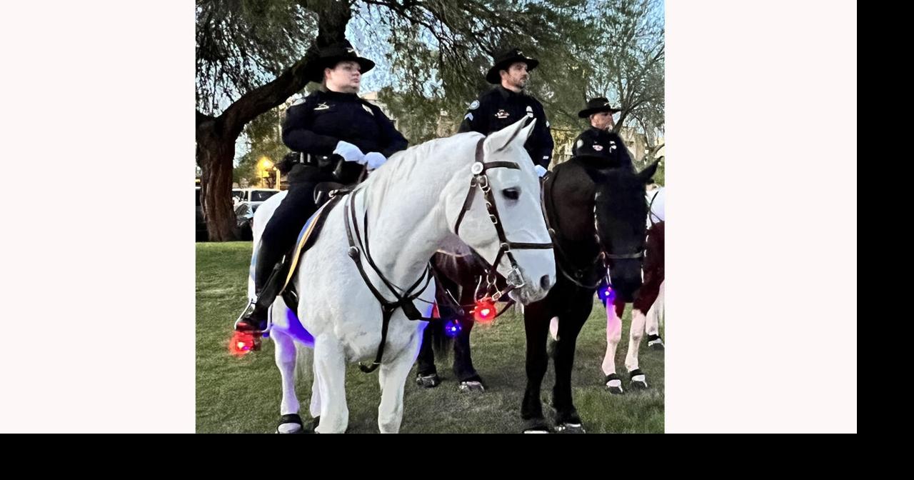 Scottsdale Police hail Zeus on his retirement | | eastvalleytribune.com