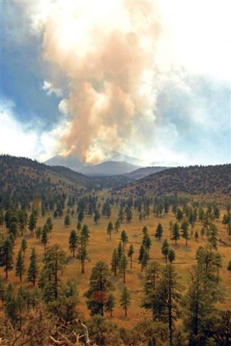 Northern Arizona forest fire 50 percent contained | Arizona ...