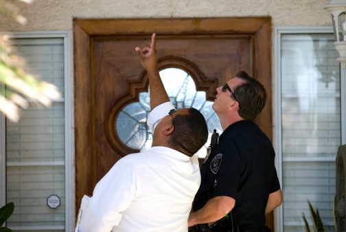 Mosquitoes, bees are bugging Gilbert residents | News ...