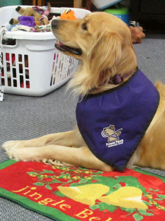 Valley non-profit trains dogs to help people live independently ...