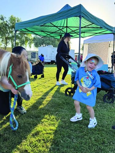 Sensory friendly farm camp planned | | eastvalleytribune.com