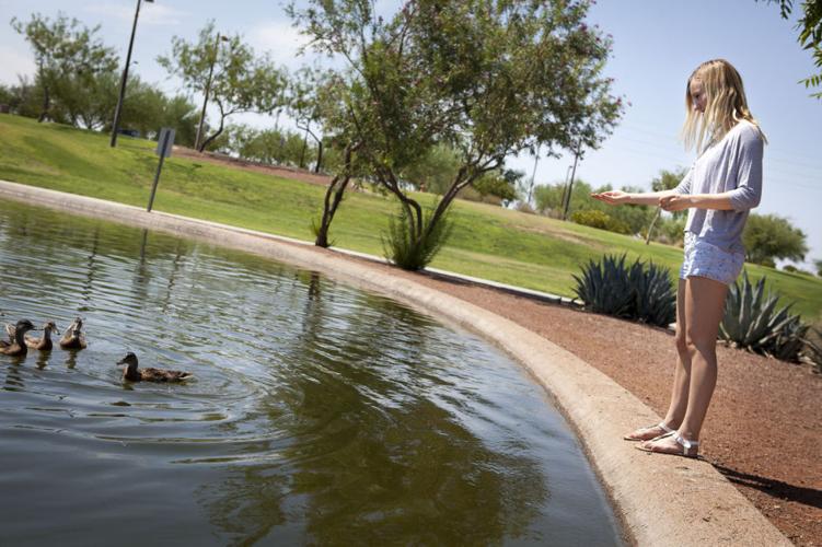 Town taking early steps toward building park in south Gilbert | Gilbert ...