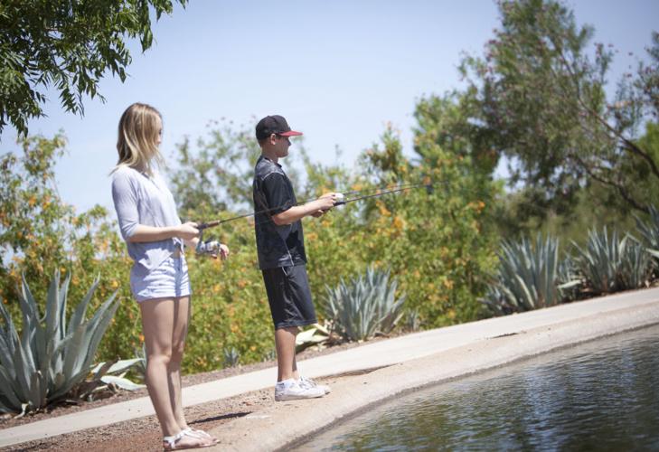 Town taking early steps toward building park in south Gilbert | Gilbert ...