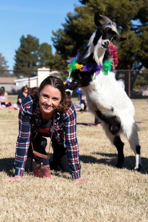 Goat yoga takes over Gilbert farm | Az Outdoors | eastvalleytribune.com