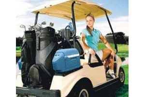 Tempe company outfits golf carts with air conditioners | Business ...