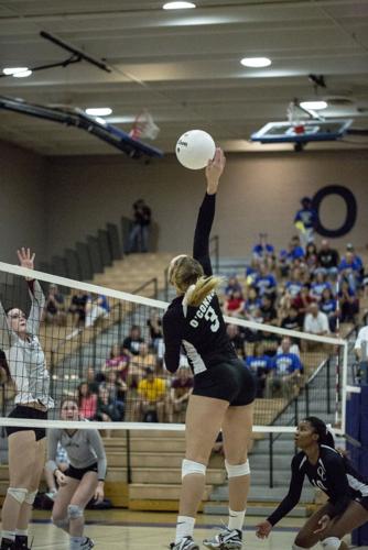 Photos: Hamilton vs. O'Connor 11/9/2013 | Photos & Video ...