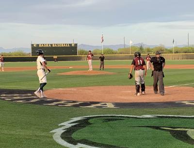 basha bears baseball