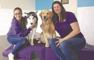 Dogs cozy up to Mesa canine lovers at growing business | Business ...