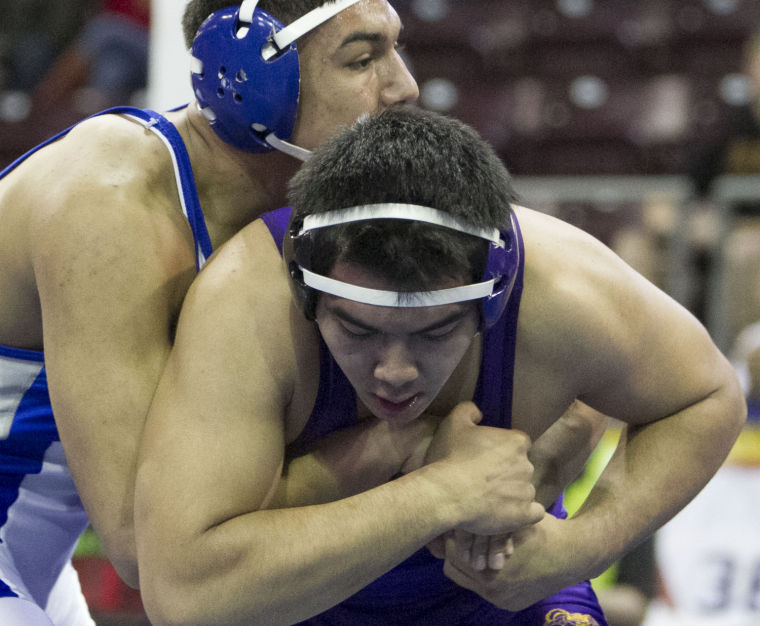 Photos: Wrestling State Championships | Photos & Video ...